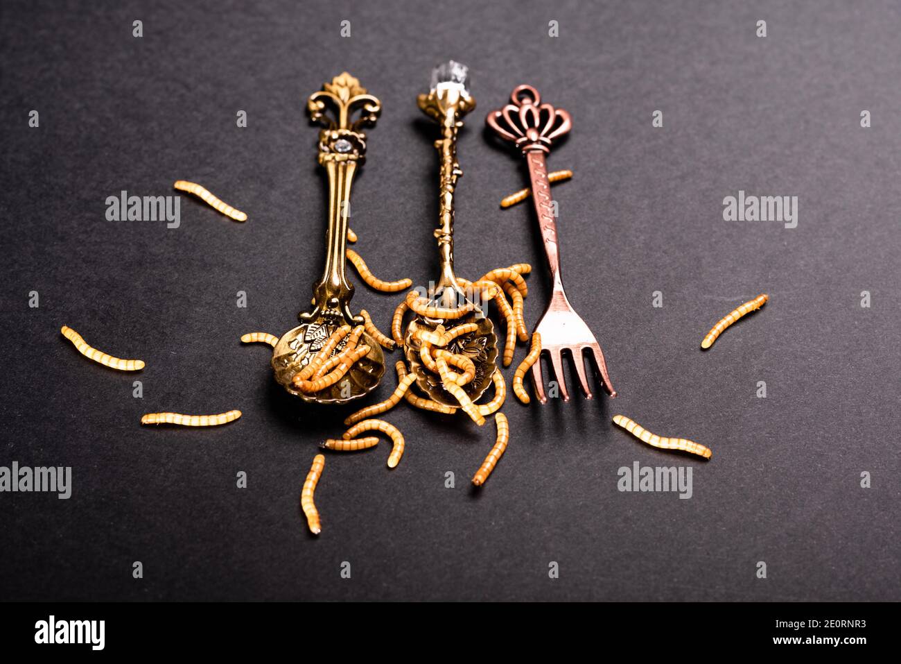 worms in a spoon, on an isolated disgusting background Stock Photo - Alamy