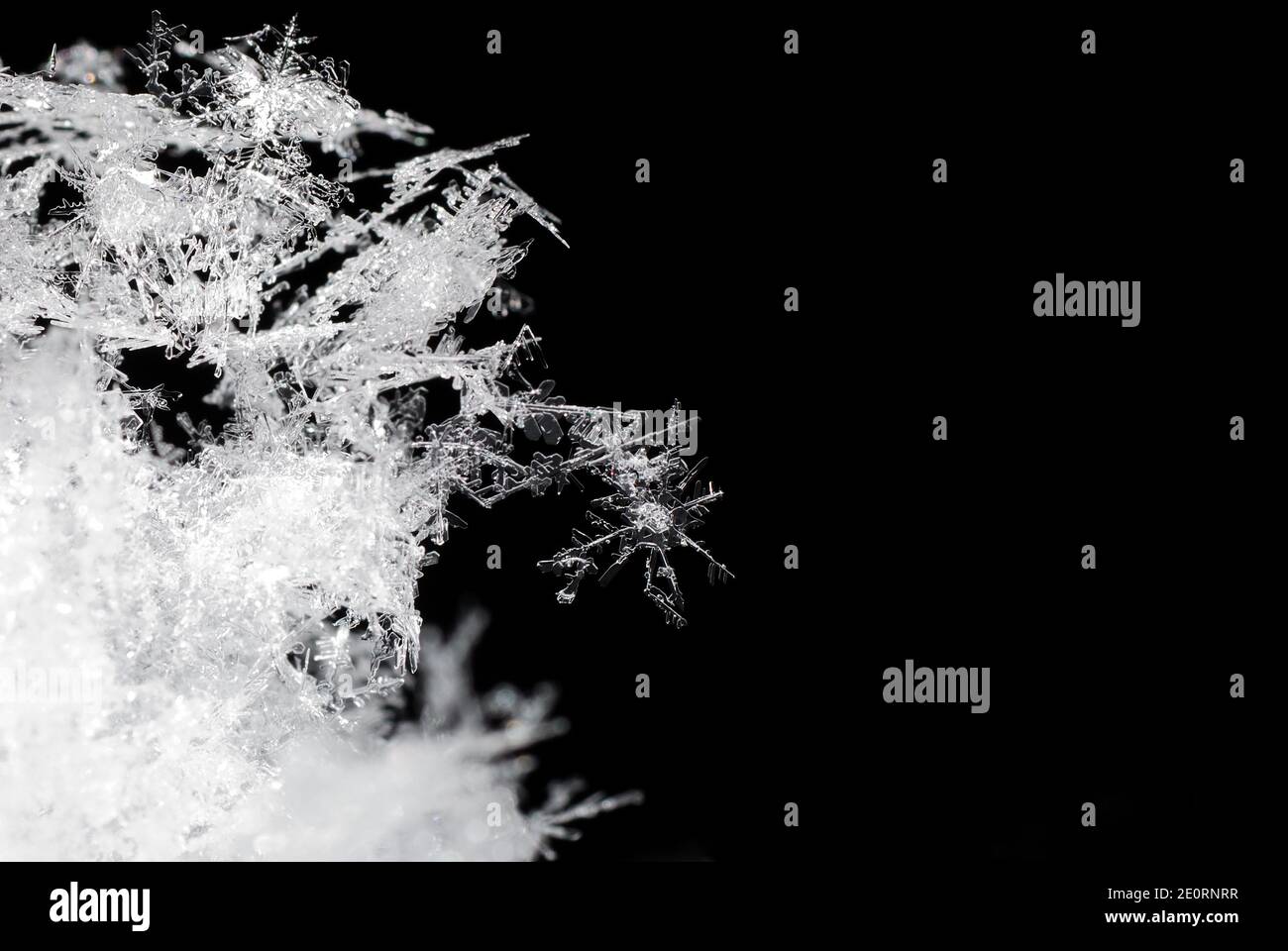 fragile snow crystals in the snow on a black background Stock Photo - Alamy