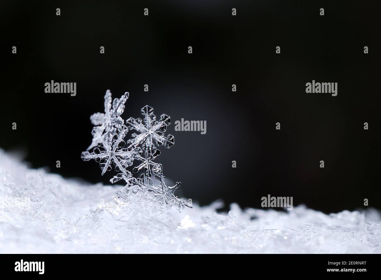 Beautiful Snow Crystals High Resolution Stock Photography and Images ...