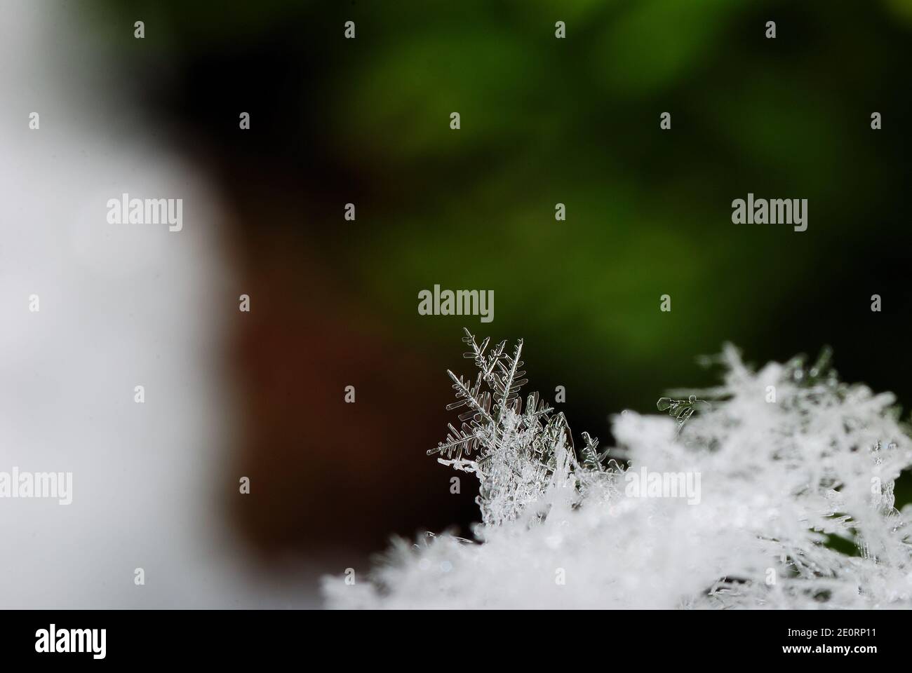 snow crystals in the snow and winter with beautiful colorful background ...