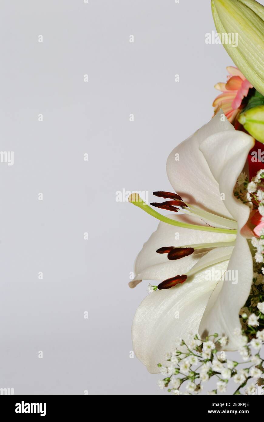 bouquet of fresh colorful flowers portrait side view right on white ...