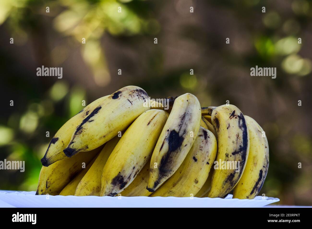 Heap of tasty Cardamom banana also known as Elaichi kela in hindi ...