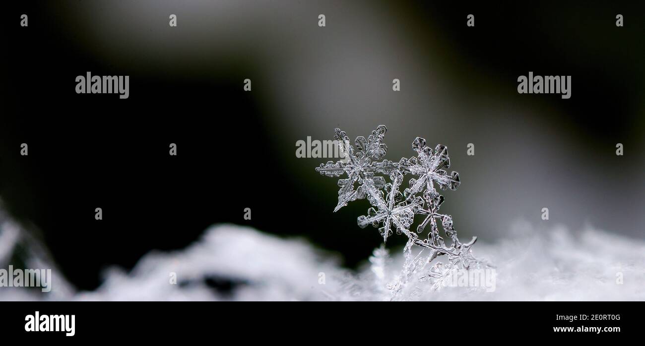 Beautiful snow crystals hi-res stock photography and images - Alamy