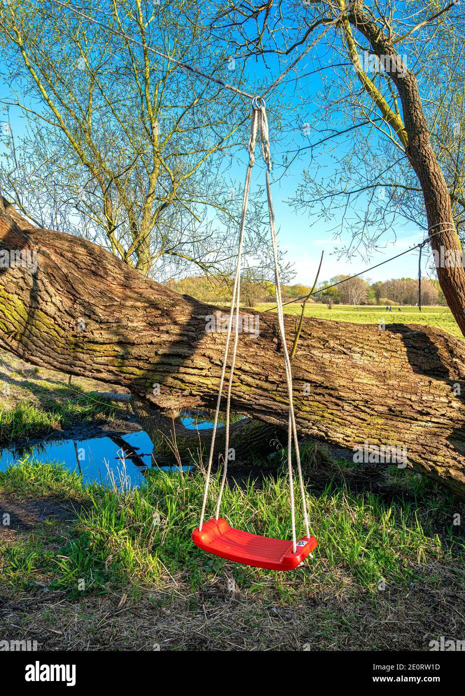 Red Children S Swing Hangs On A Tree Stock Photo - Alamy
