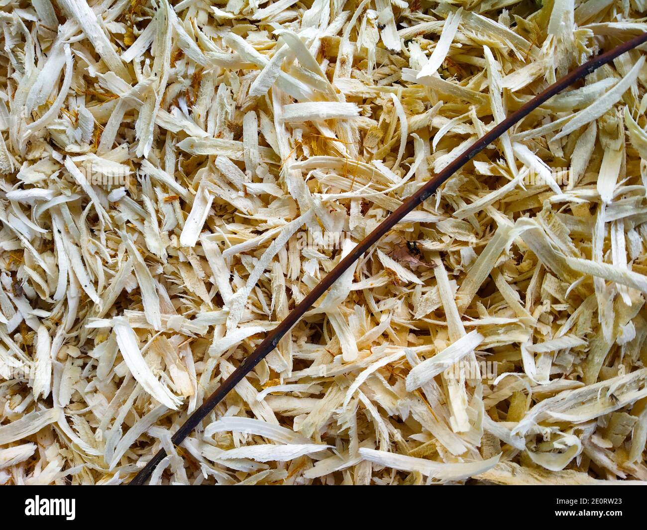 Closeup particle hi-res stock photography and images - Alamy