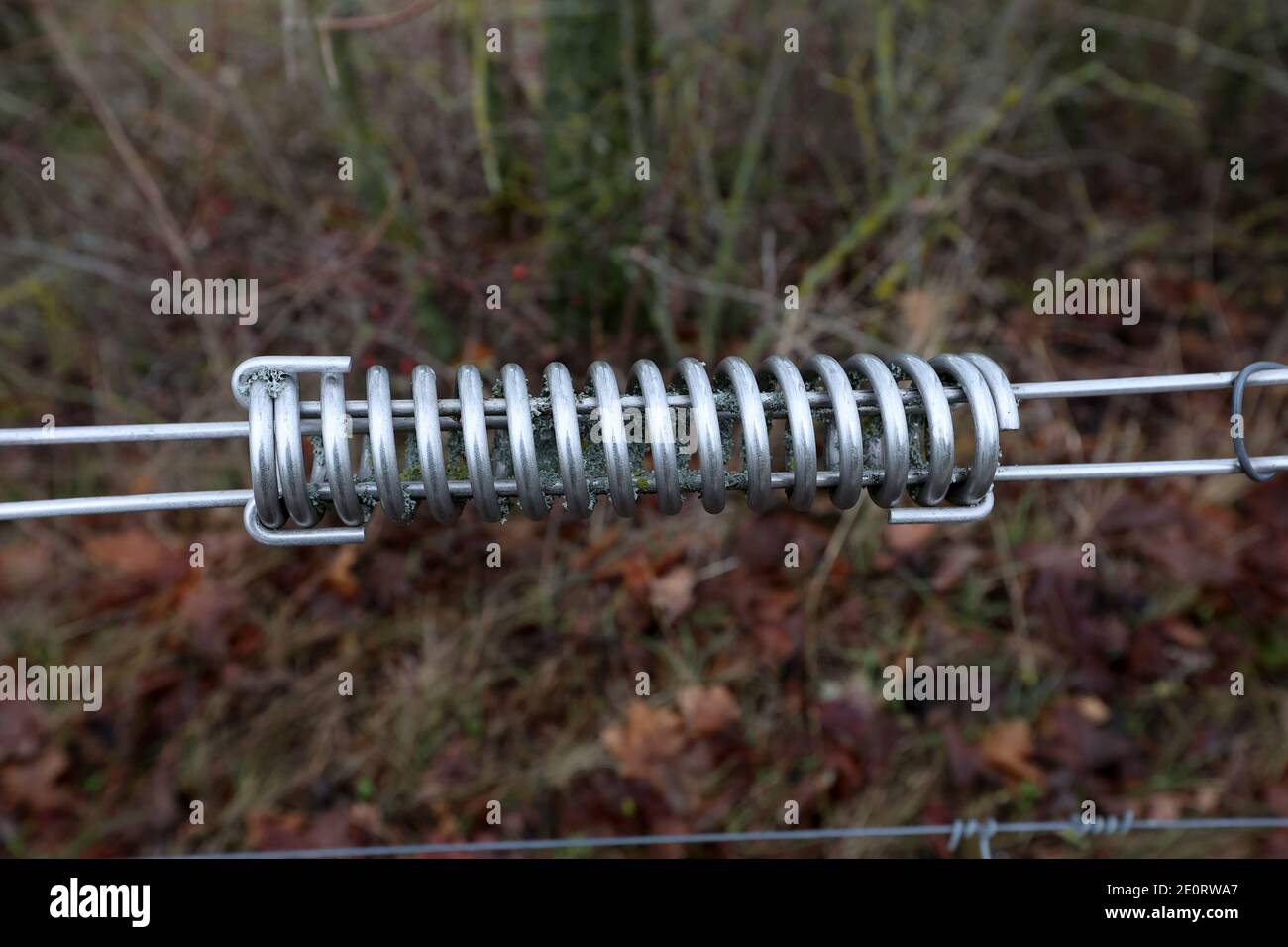Metal Spring High Resolution Stock Photography and Images - Alamy