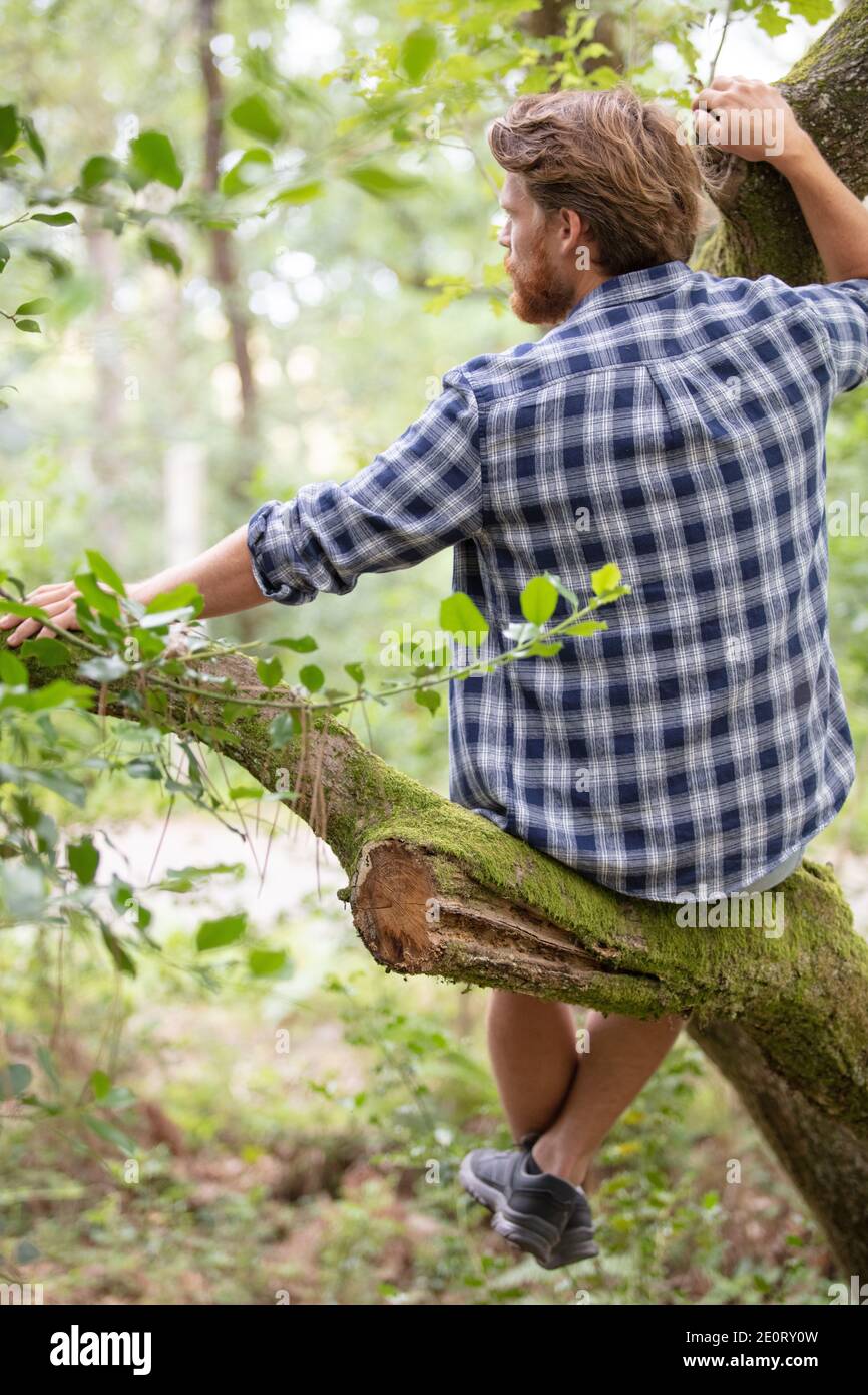 man sitting on a trunk in the forest and relaxing Stock Photo - Alamy
