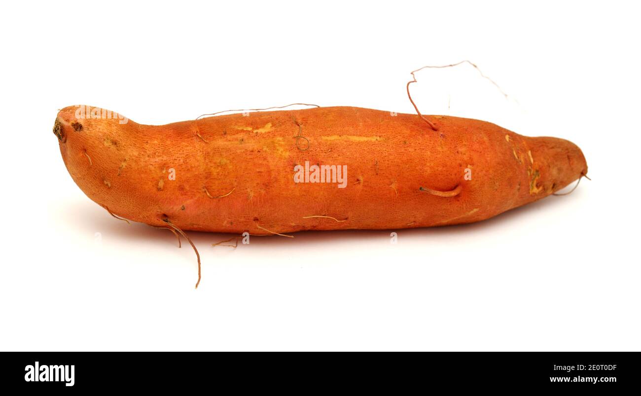 Sweet potato tuberous root isolated on white background Stock Photo - Alamy