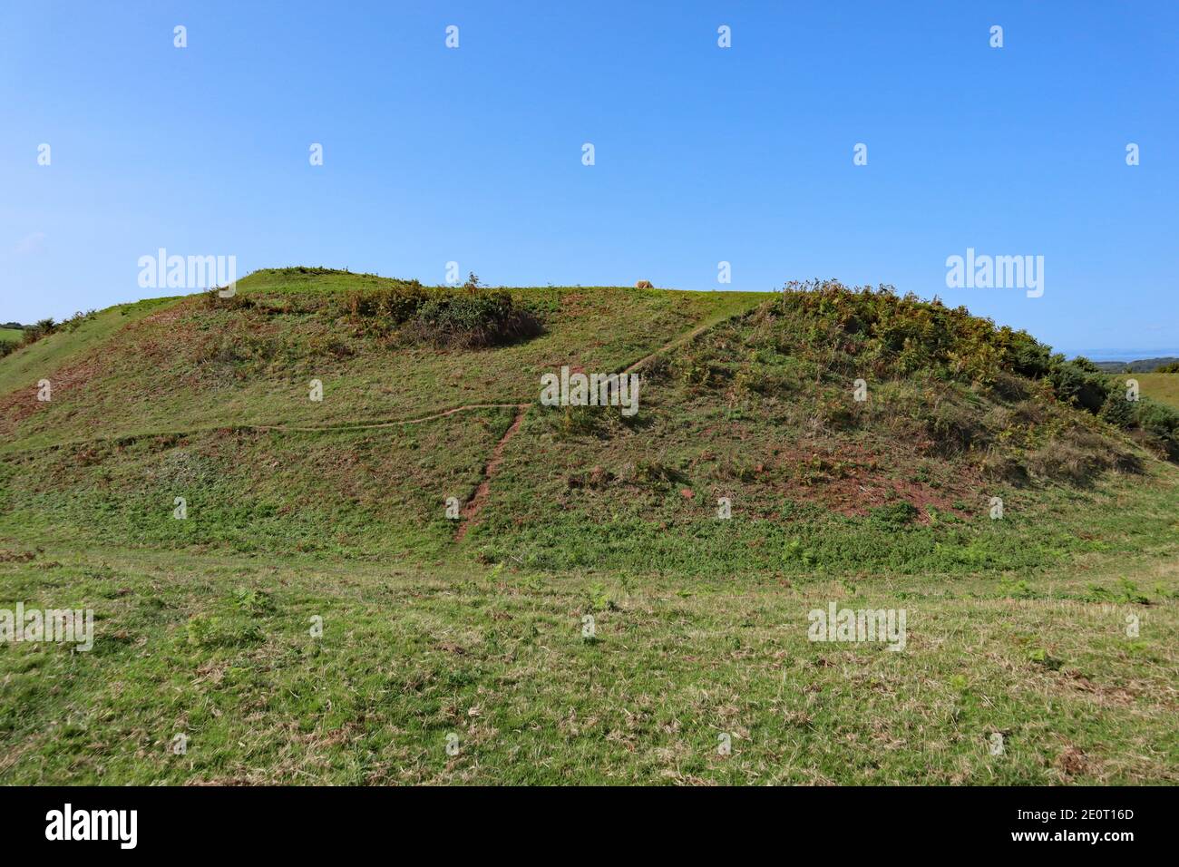The 11th century Norman Motte and Bailey castle at Nether Stowey in ...