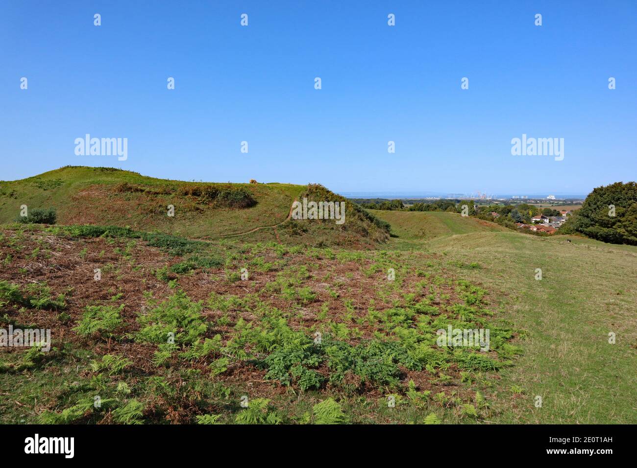 The 11th century Norman Motte and Bailey castle at Nether Stowey in ...
