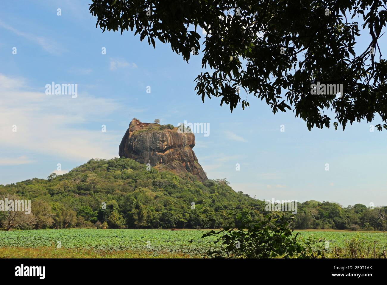 Sigiriya Rock in Sri Lanka on which the ruins of a historic rock ...