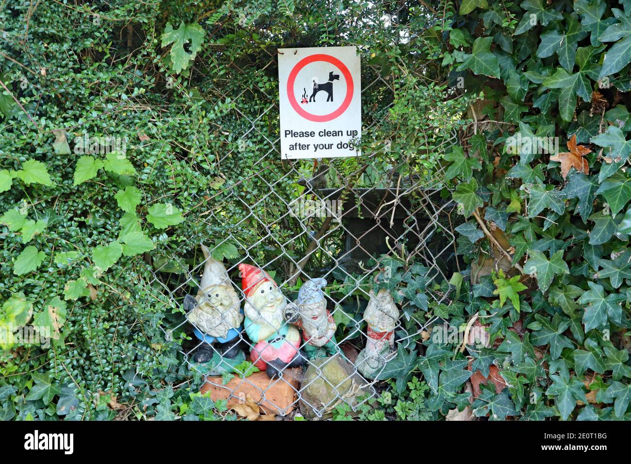Hygiene dog mess hi-res stock photography and images - Alamy