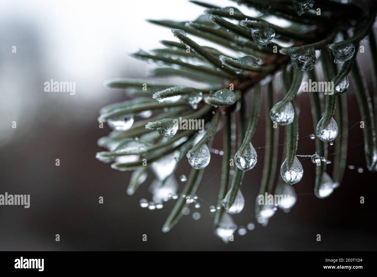 Sping water hi-res stock photography and images - Alamy