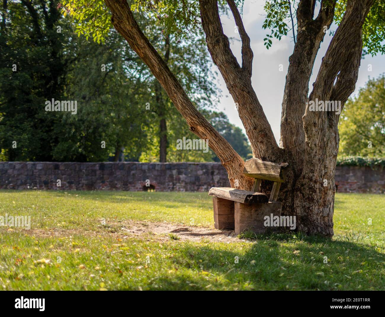 Tree With A Small Wooden Bench Stock Photo - Alamy