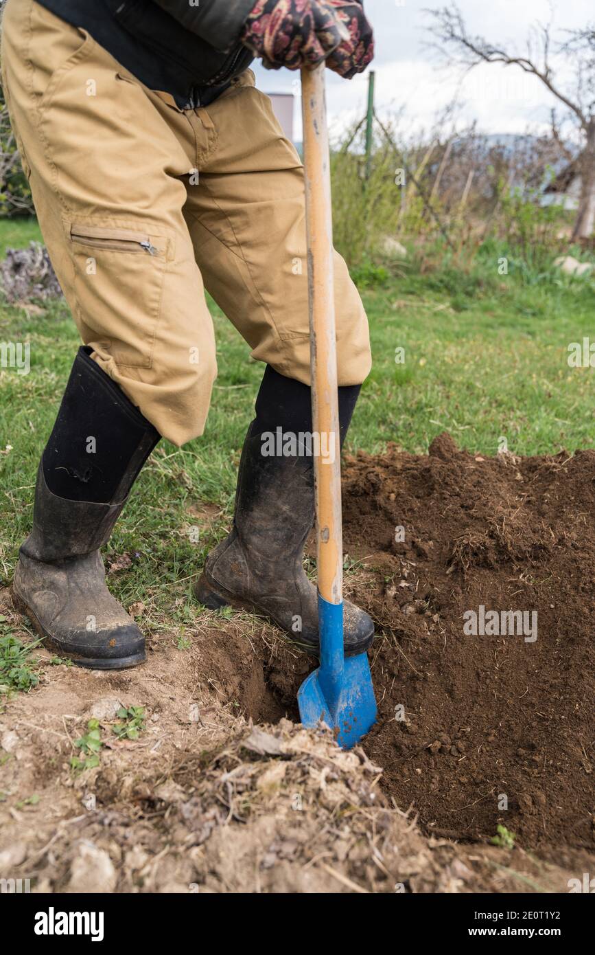 Pit of fovea hi-res stock photography and images - Alamy