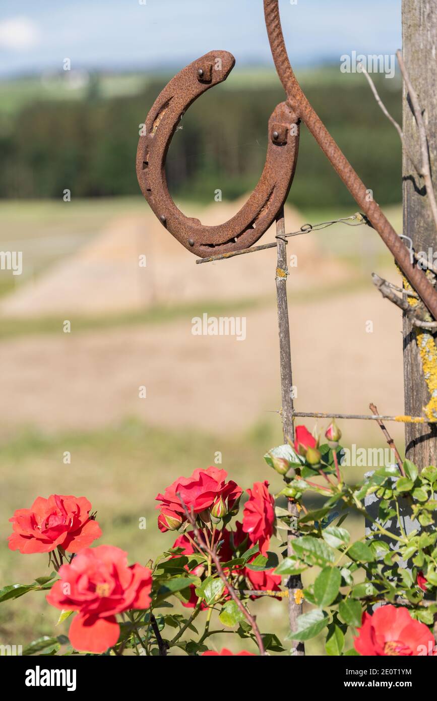 Horseshoe Roses High Resolution Stock Photography and Images - Alamy