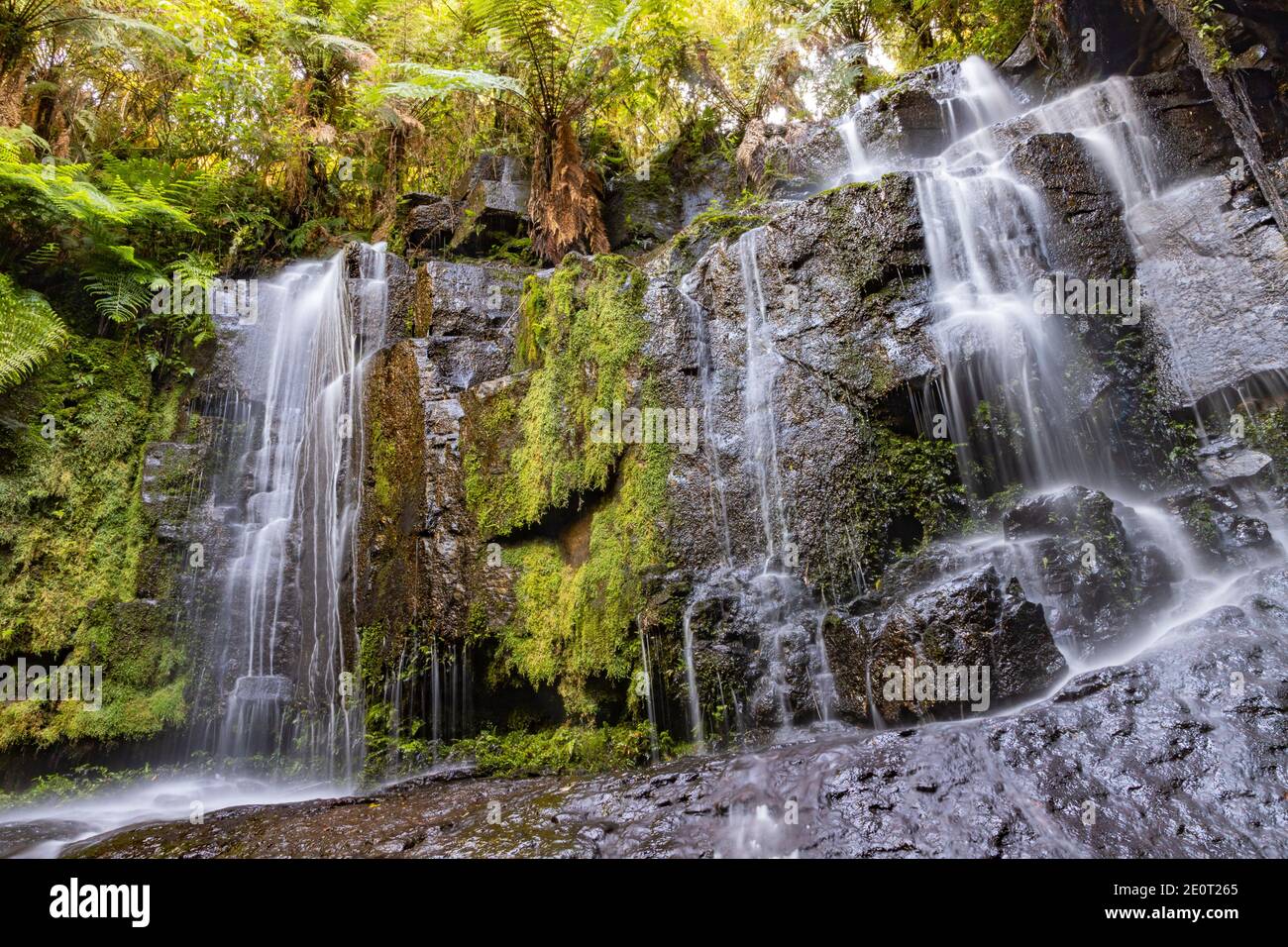 Brazil waterfall flower hi-res stock photography and images - Alamy