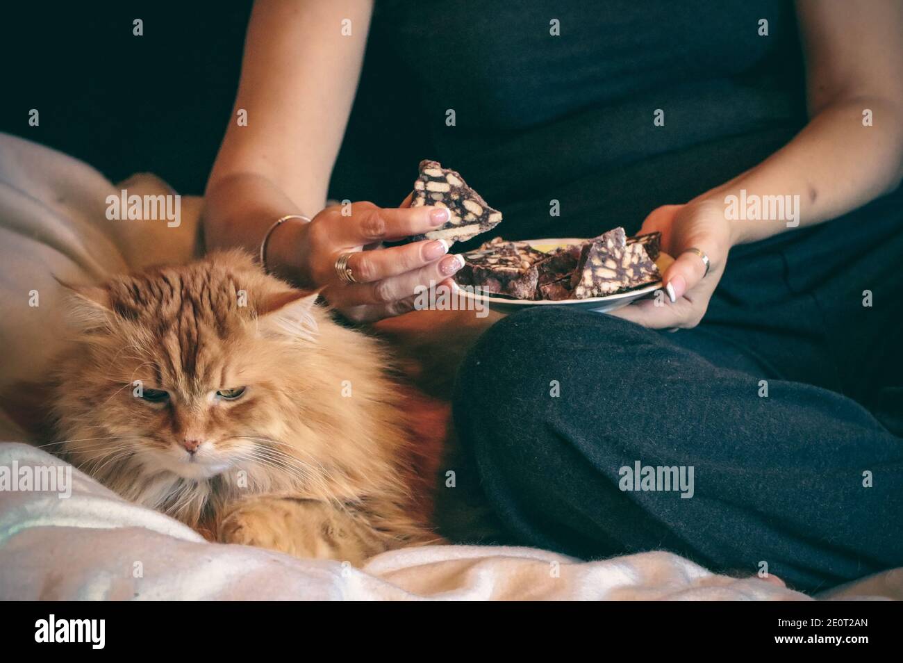 A ginger cat and a woman relaxing, eating cookies Stock Photo - Alamy