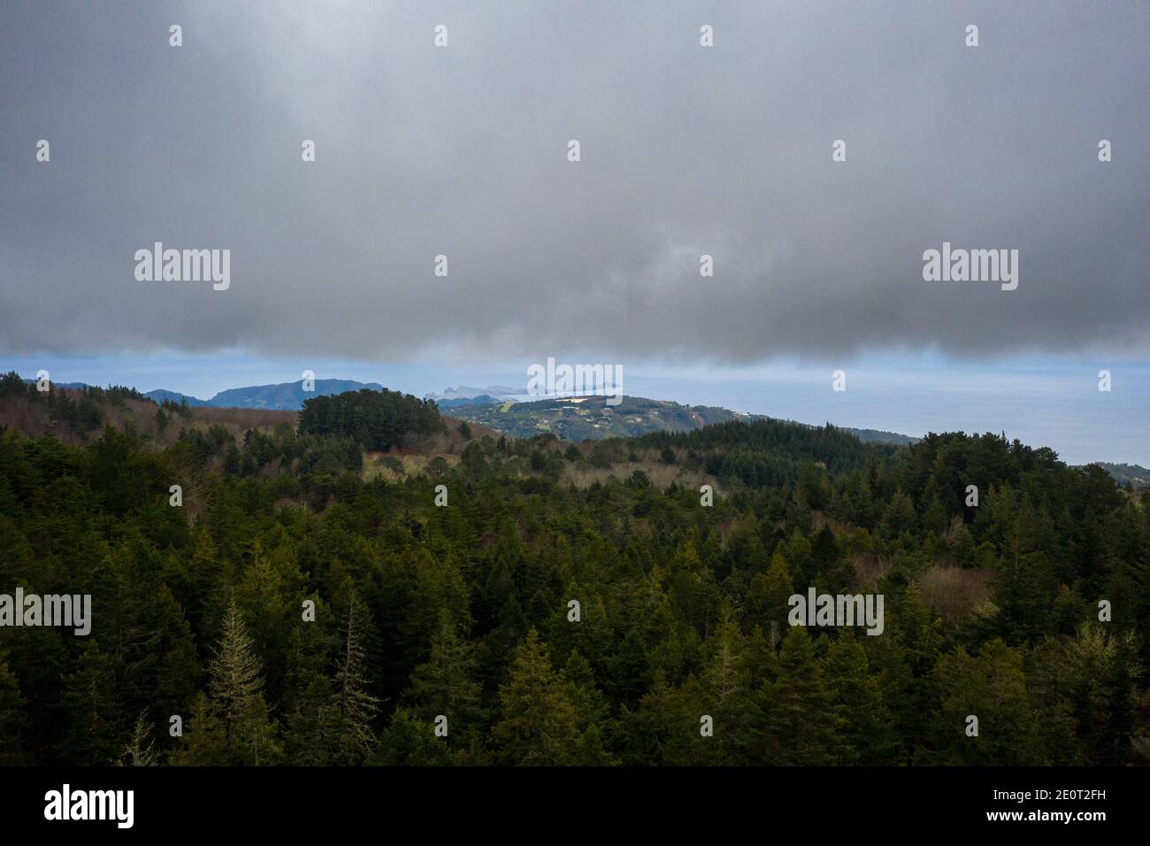 Forest from above Stock Photo - Alamy