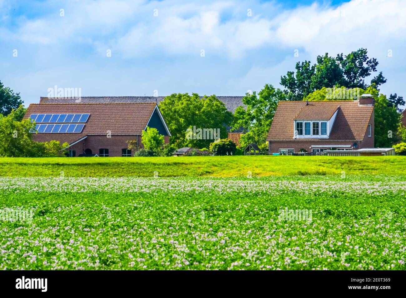 country side landscape with classical dutch homes in Waterlandkerkje ...