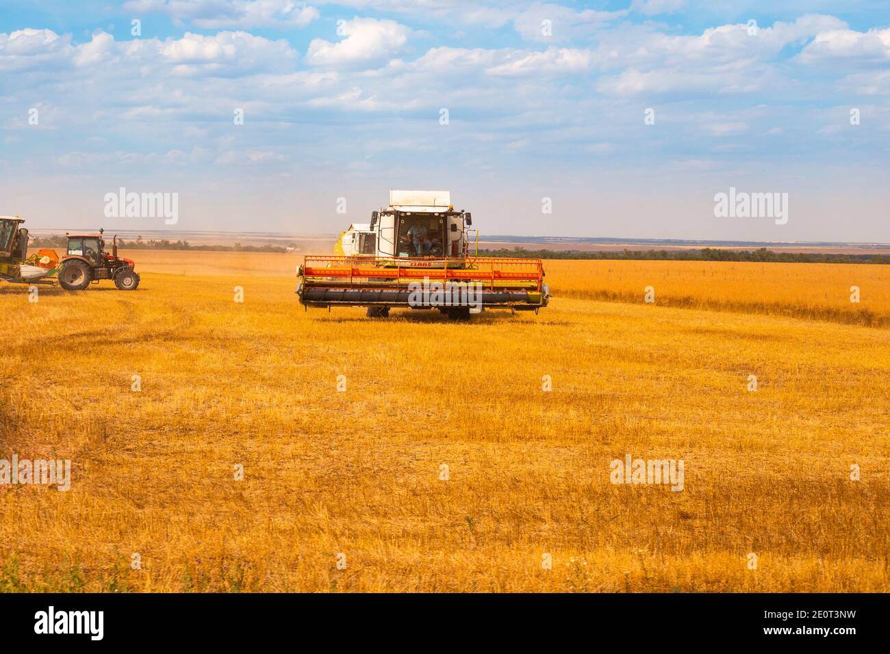 Rostov region, Russia-01.07.2020: combines on the field harvest wheat ...