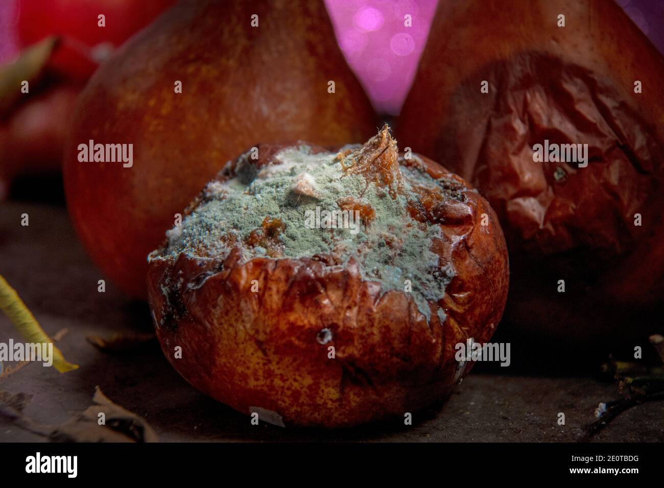 Mould on rotten pears hi-res stock photography and images - Alamy