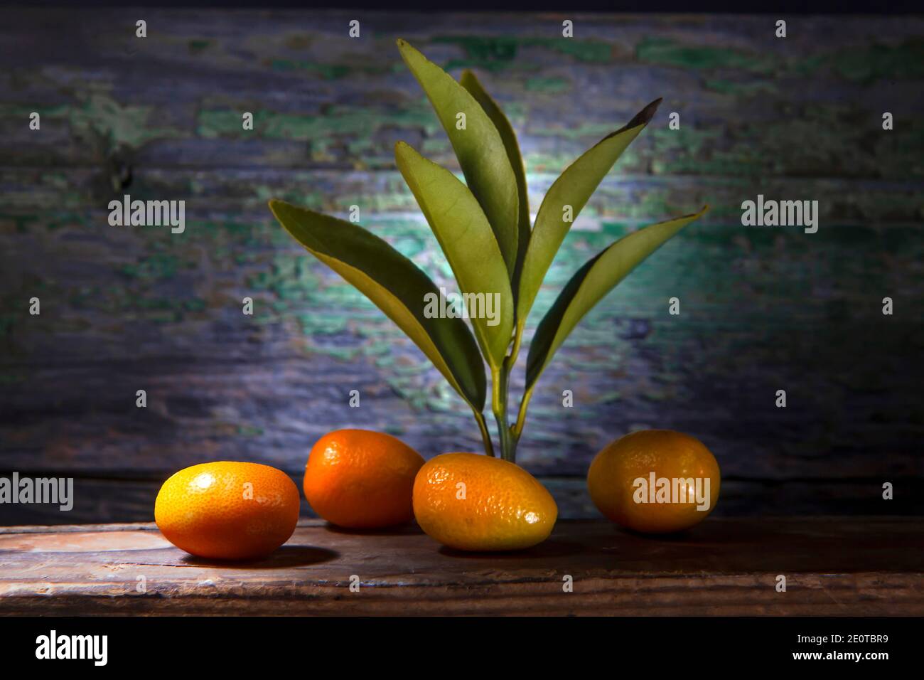 Four kumquats hi-res stock photography and images - Alamy