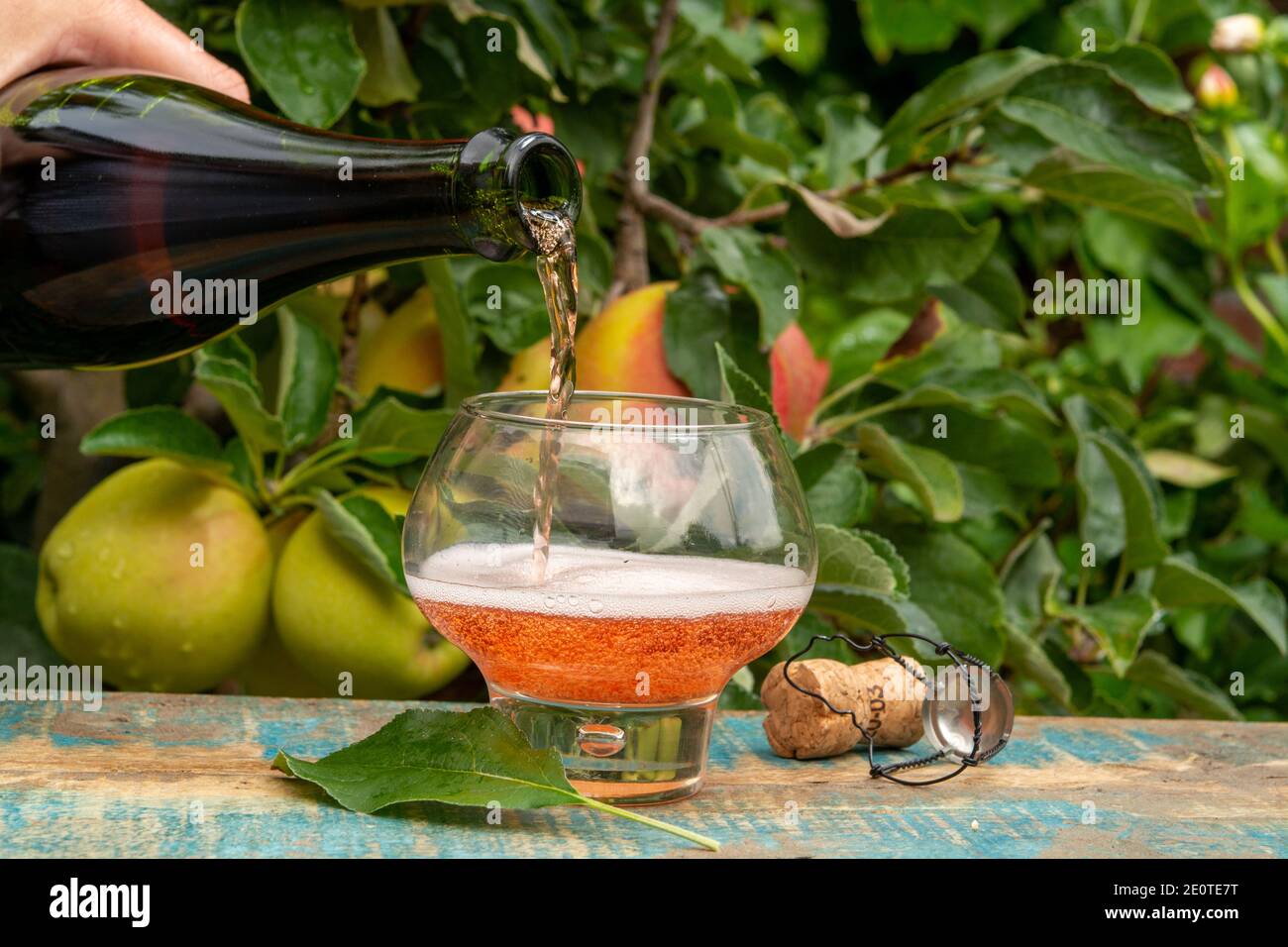 Cider pouring apple tree hi-res stock photography and images - Alamy