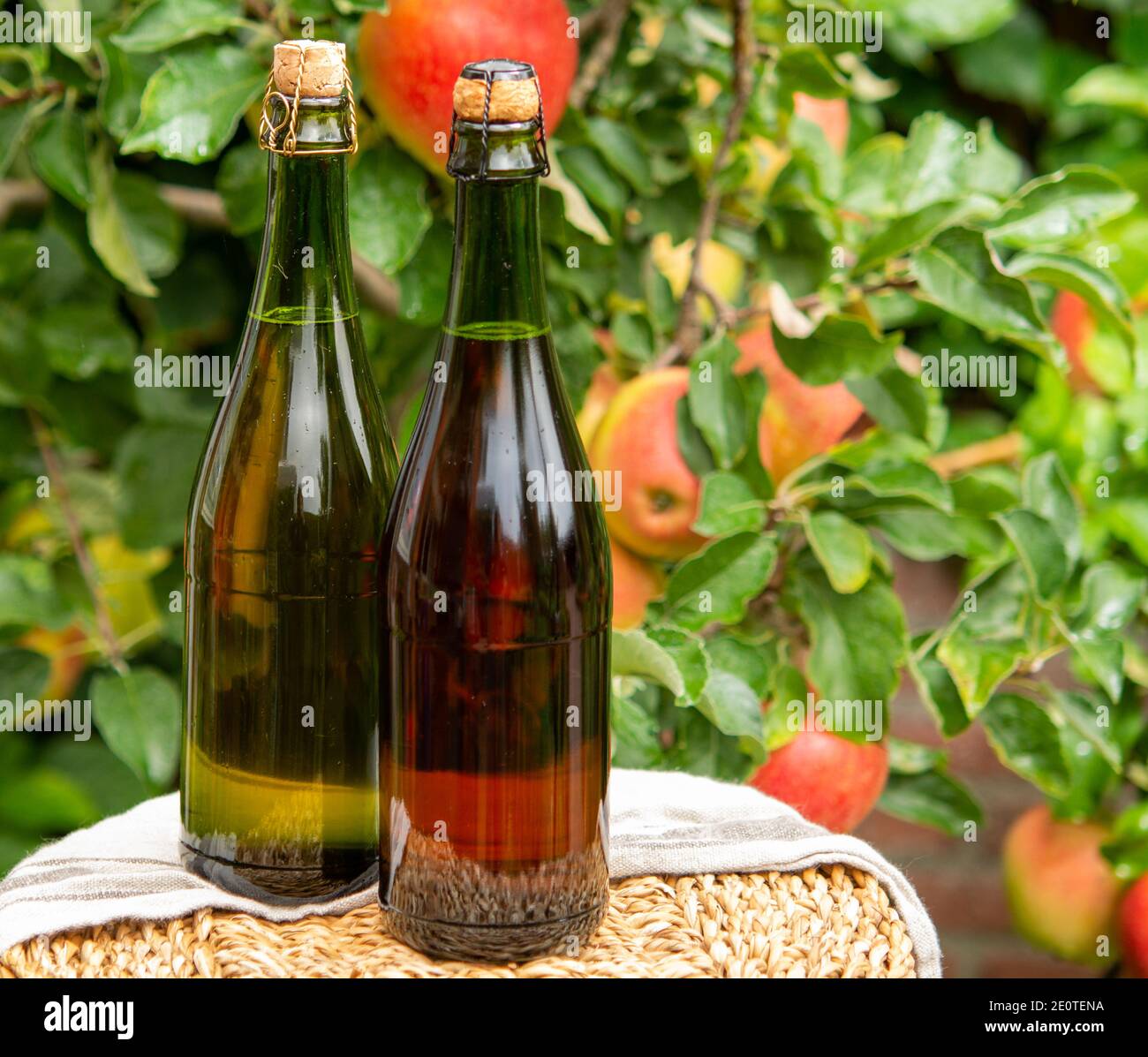 Brut and rose apple cider from Normandy in bottles, France and green ...