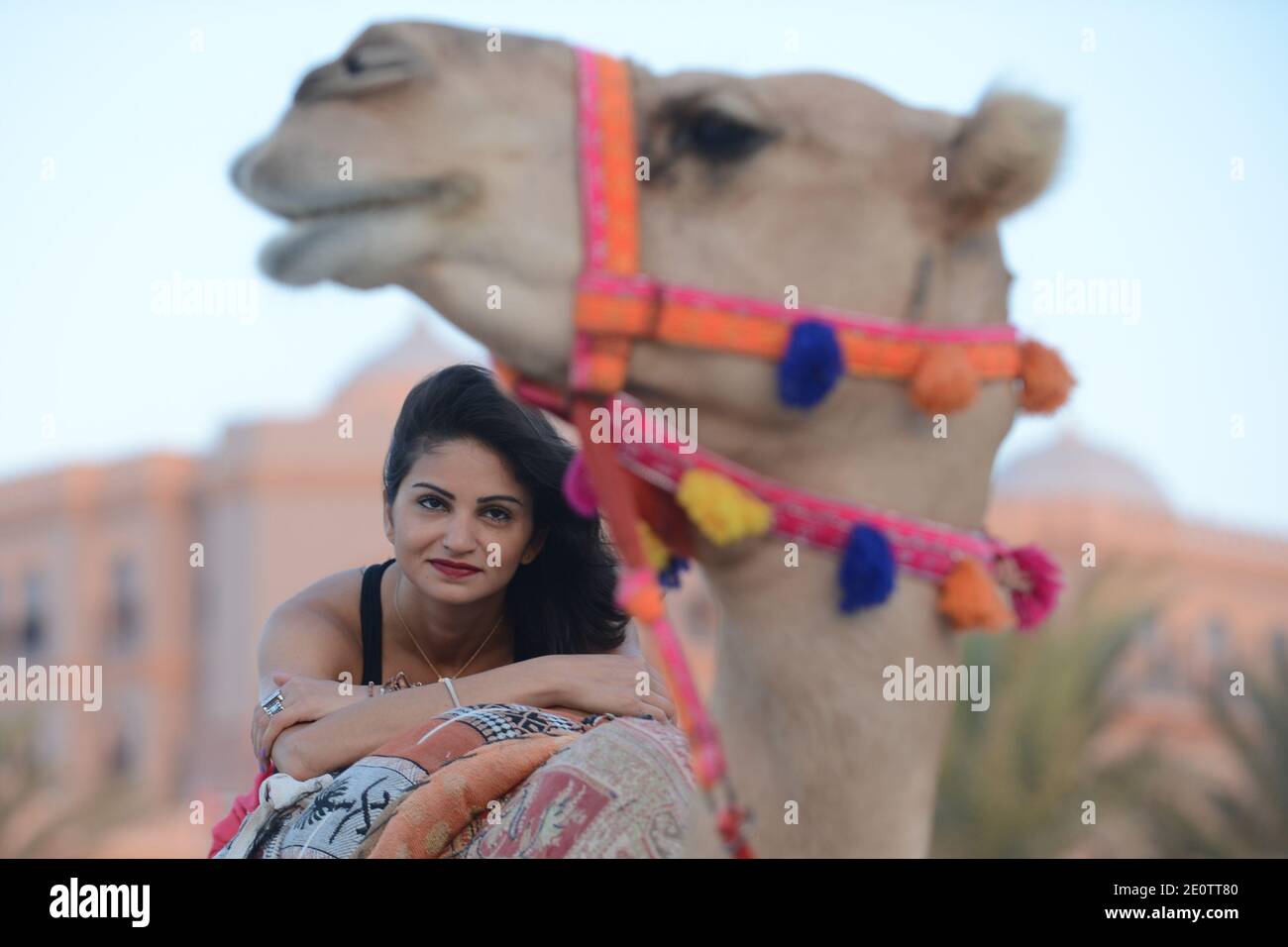 Ahd kamel hi-res stock photography and images - Alamy