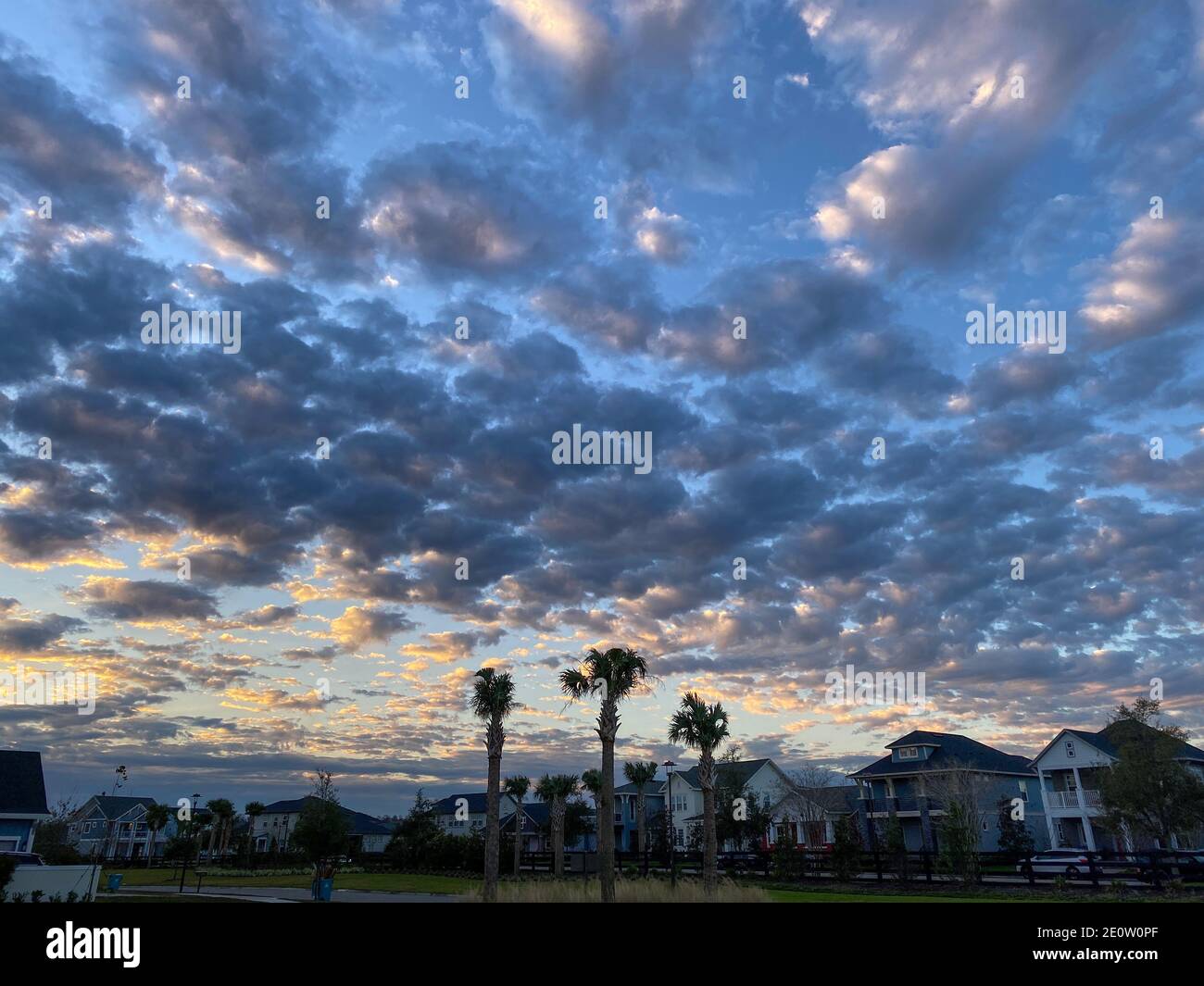 Sunrise with palm trees in a neighborhood in Orlando, Florida Stock ...