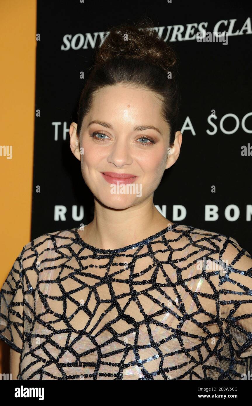 Marion cotillard rust bone hi-res stock photography and images - Alamy