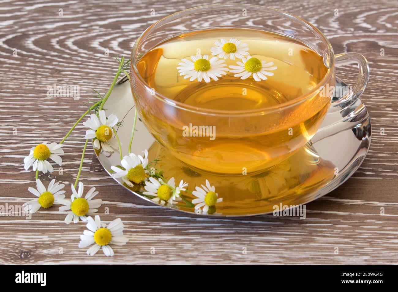 Chamomile tee hi-res stock photography and images - Alamy