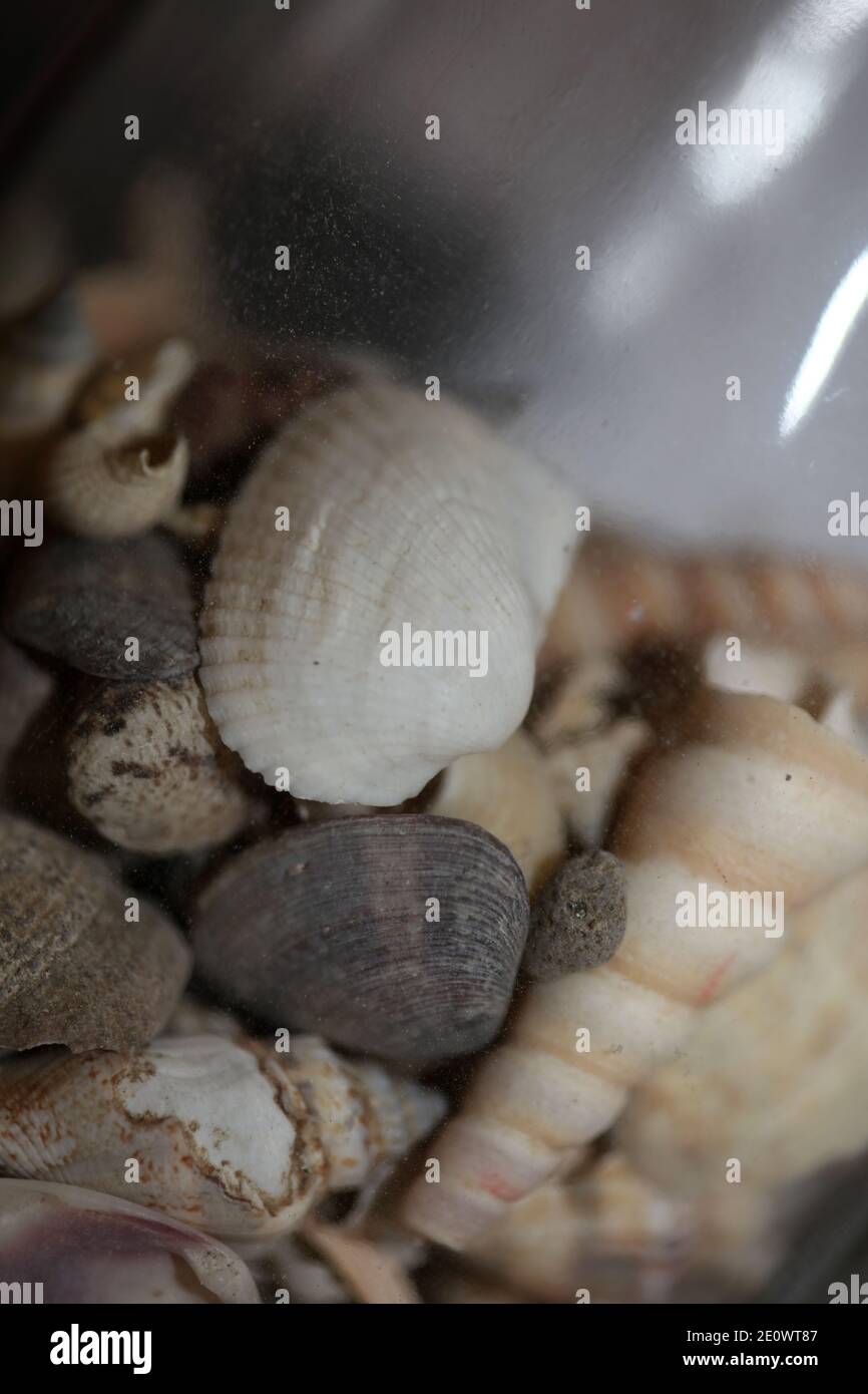 Summer mood hi-res stock photography and images - Alamy