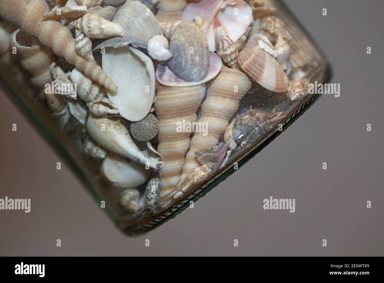 Caribbean beauty beach mood hi-res stock photography and images - Alamy