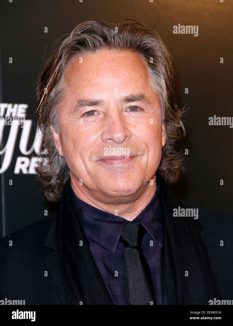 Don Johnson attends the premiere of 'Django Unchained' held at the ...