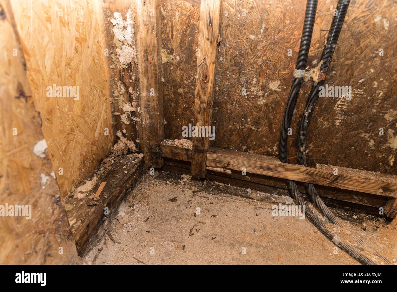 Water Damage To Fiberboard At Construction Site - Close-up Botched ...