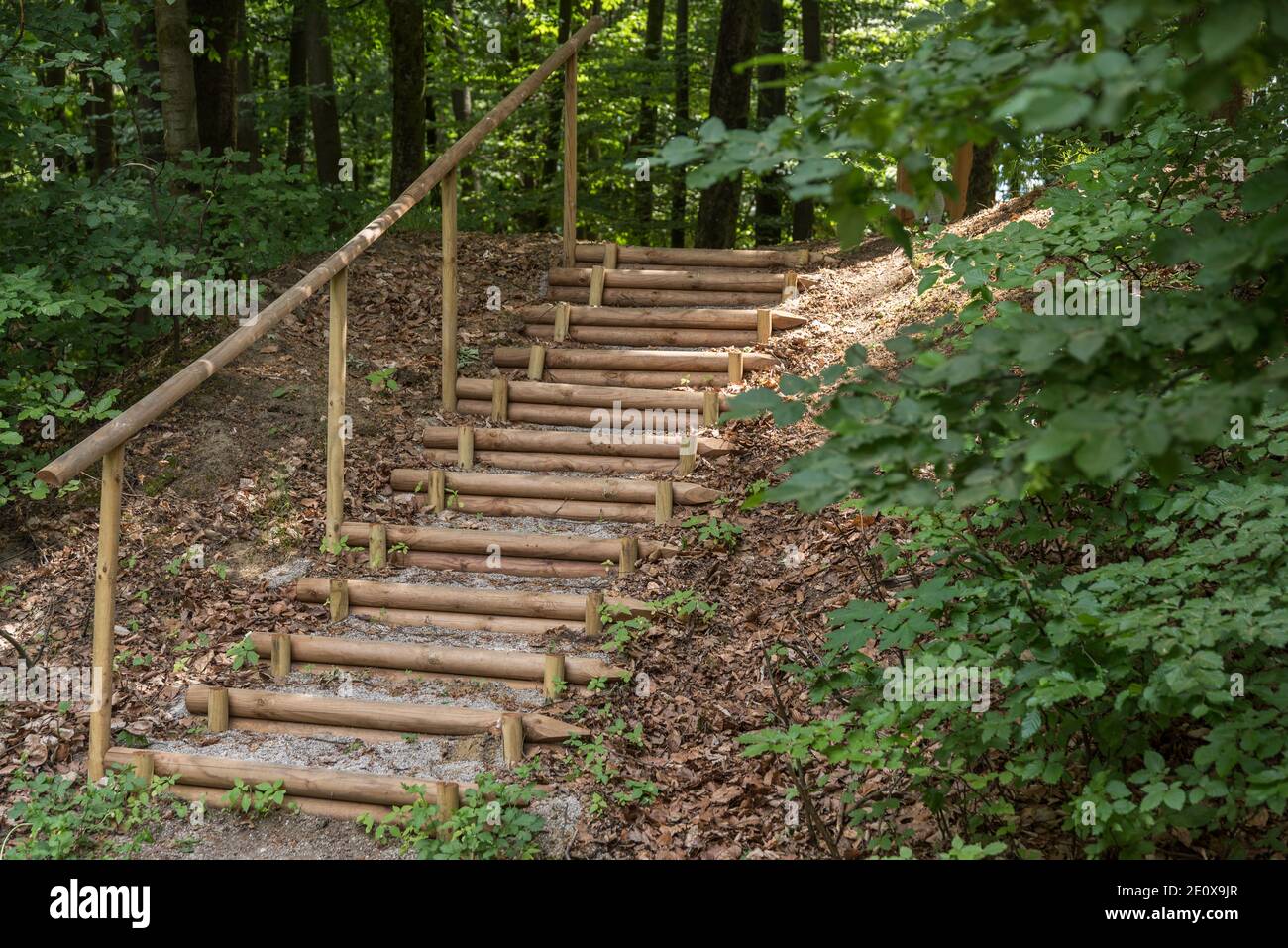 Stairway In A Forest Path - Stairs With Wooden Steps Stock Photo - Alamy