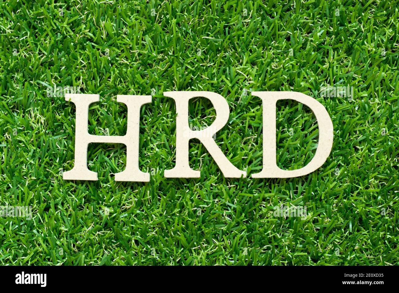 Wood alphabet letter in word HRD (Abbreviation of human resource ...