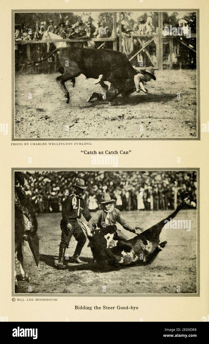 Let 'er buck Stock Photo - Alamy