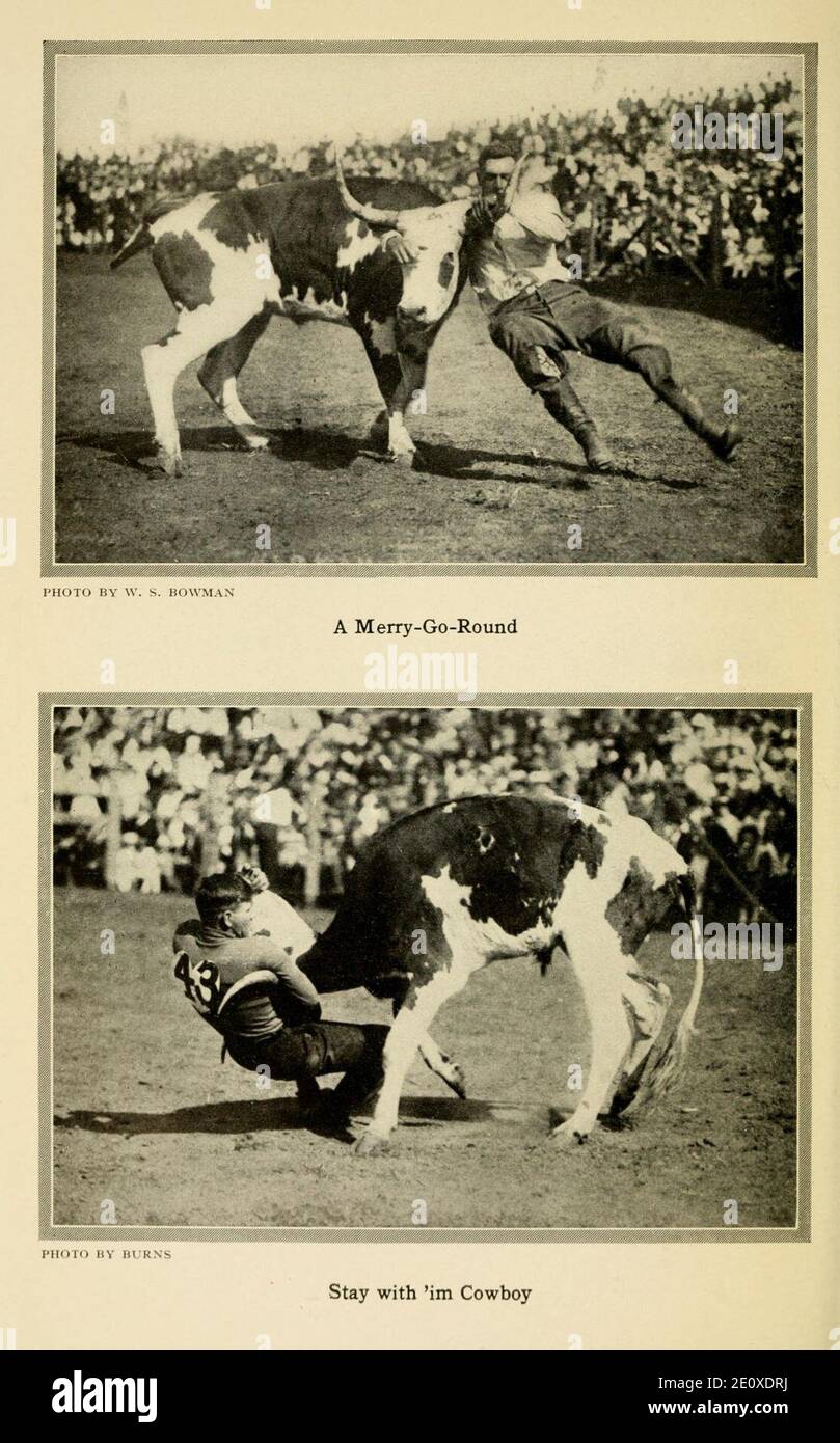 Let 'er buck Stock Photo - Alamy