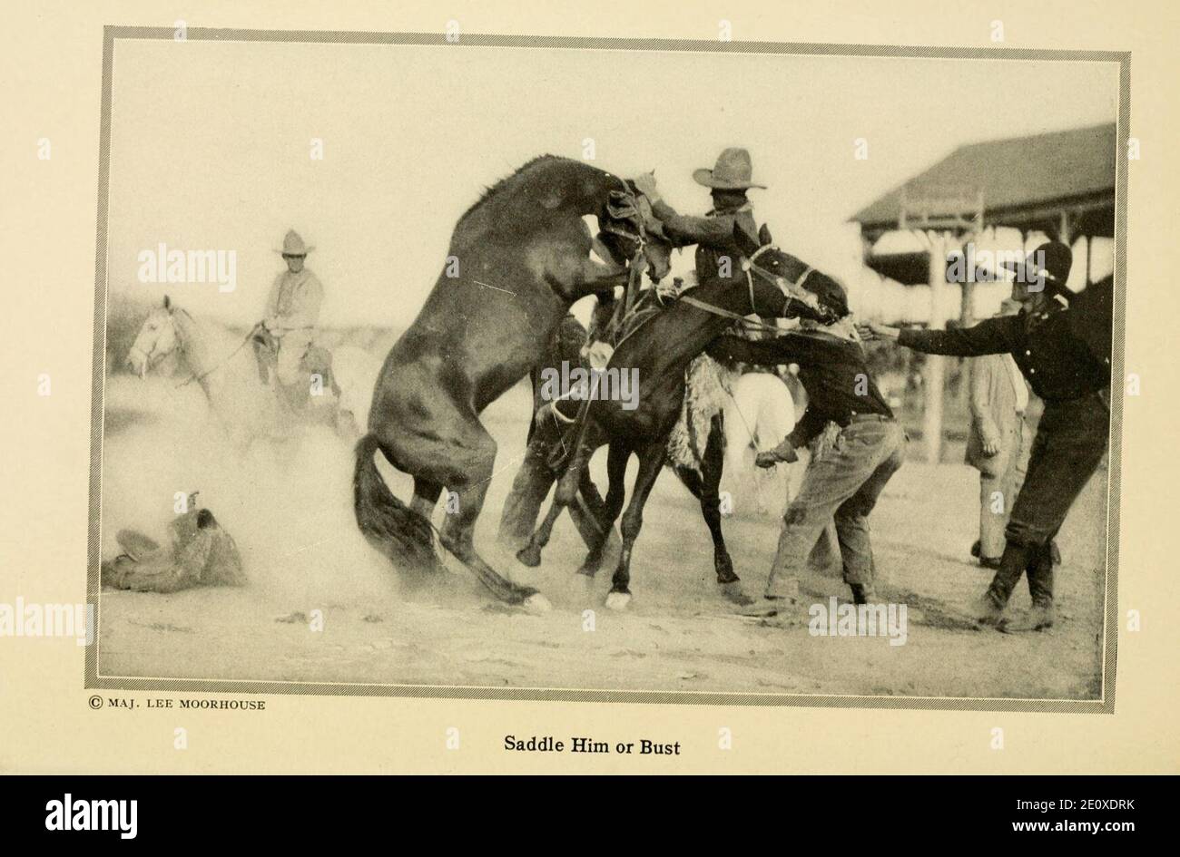 Let 'er buck Stock Photo - Alamy