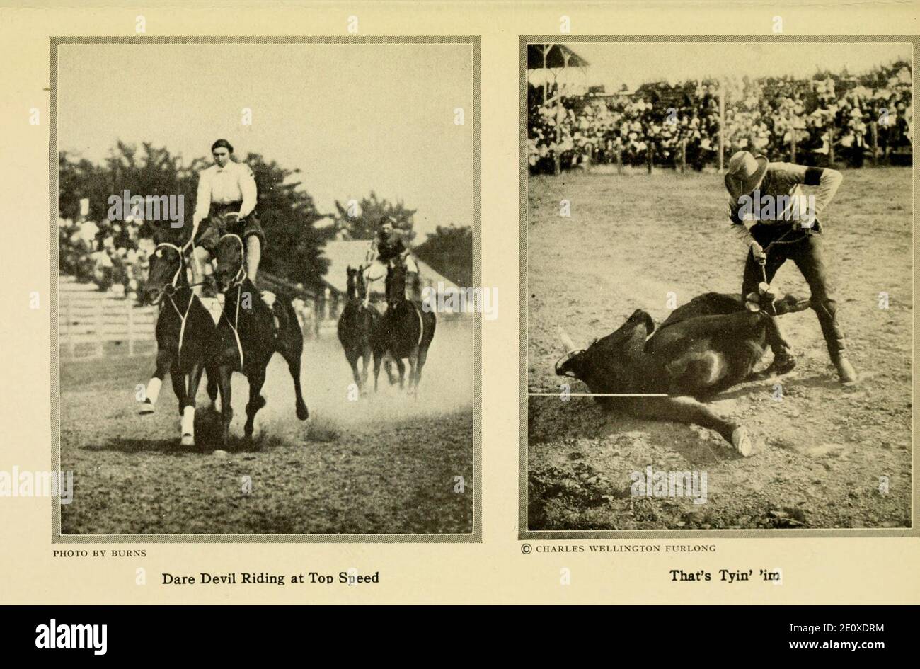 Let 'er buck Stock Photo - Alamy