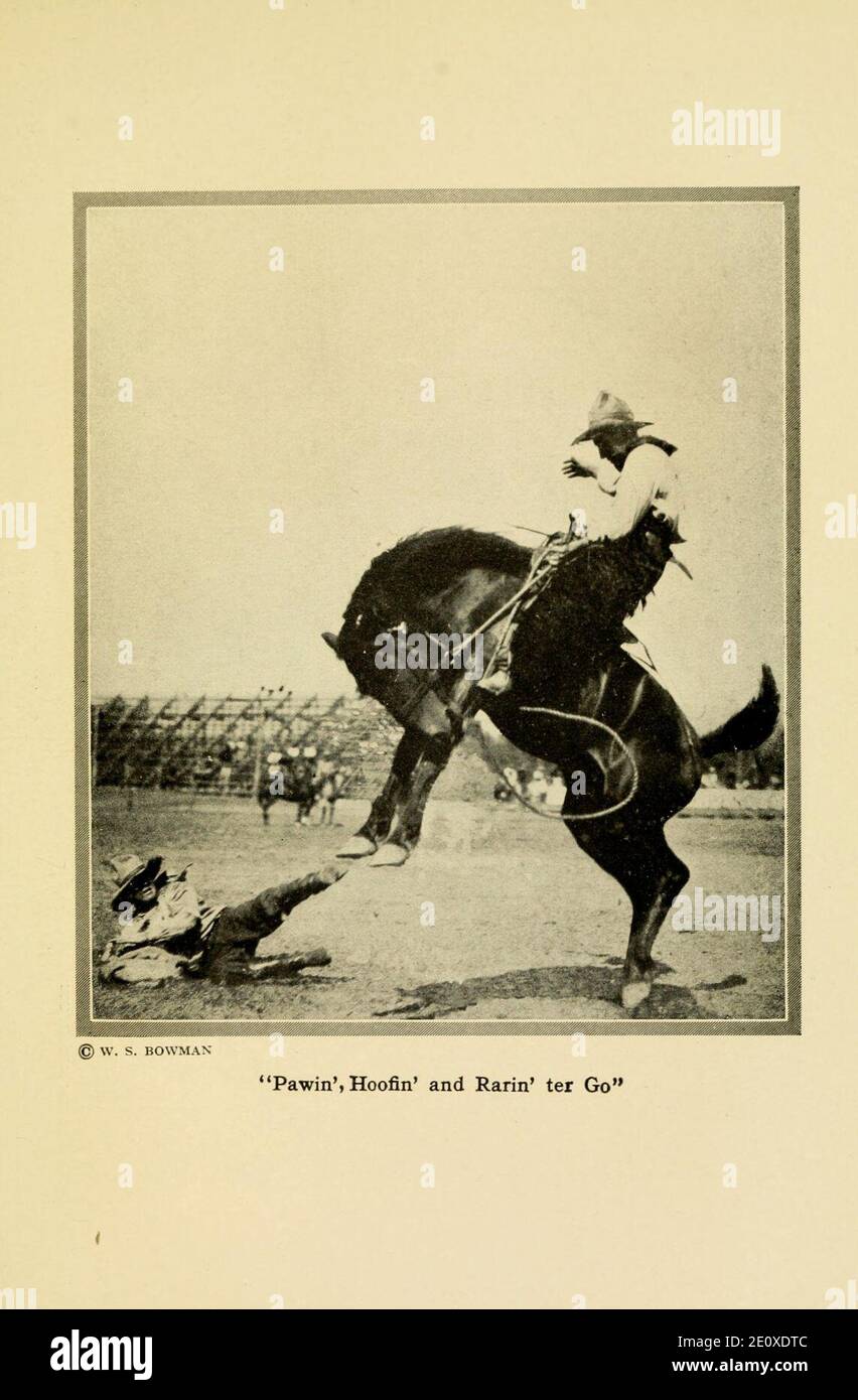 Let 'er buck Stock Photo - Alamy