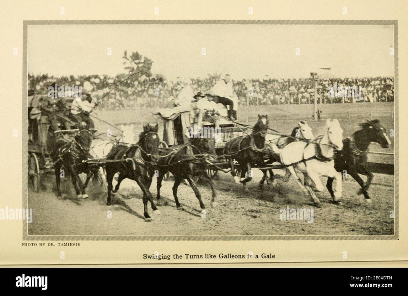 Let 'er buck Stock Photo - Alamy