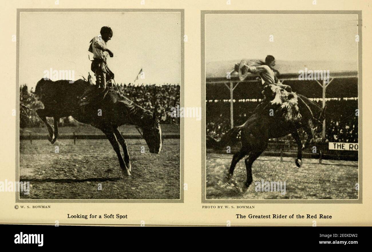 Let 'er buck Stock Photo - Alamy