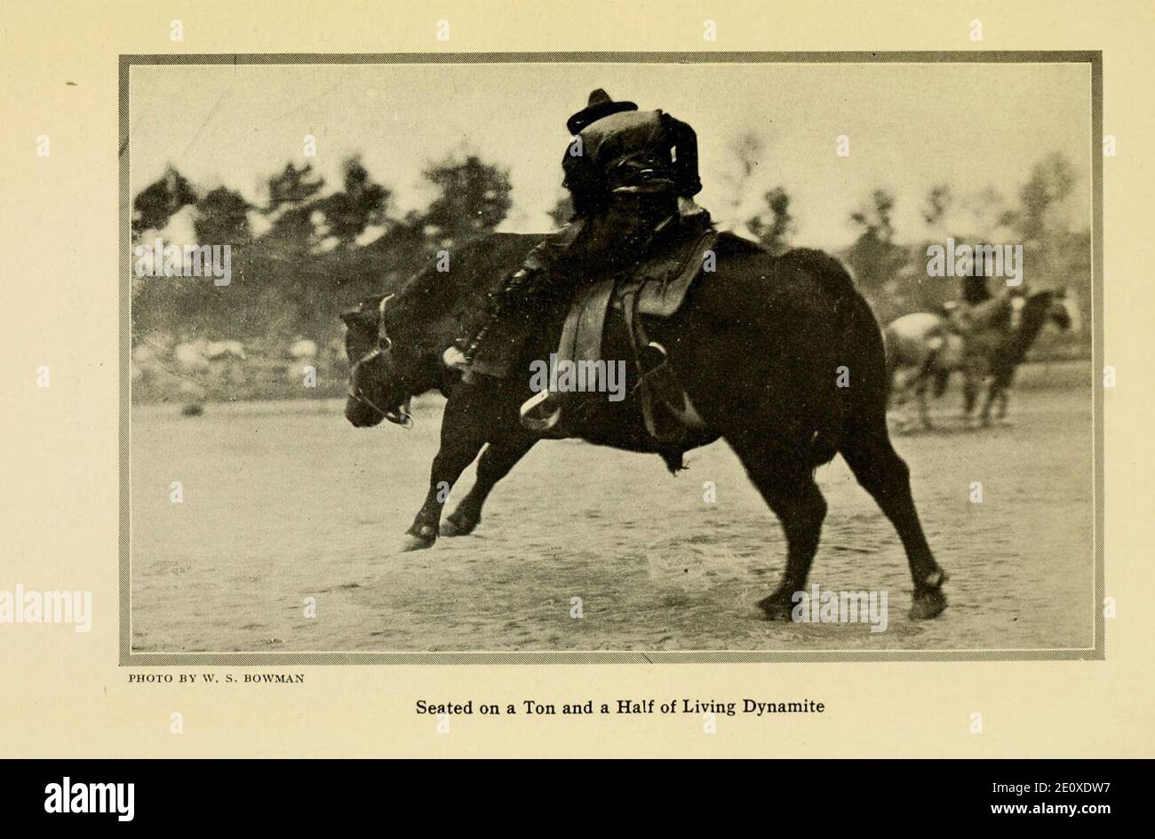 Let 'er buck Stock Photo - Alamy