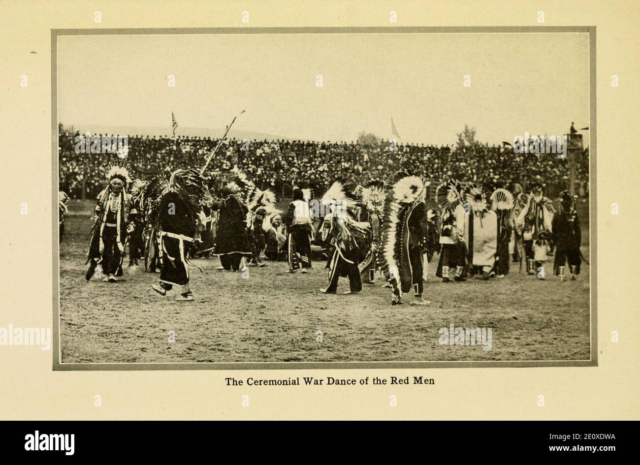 Let 'er buck Stock Photo - Alamy