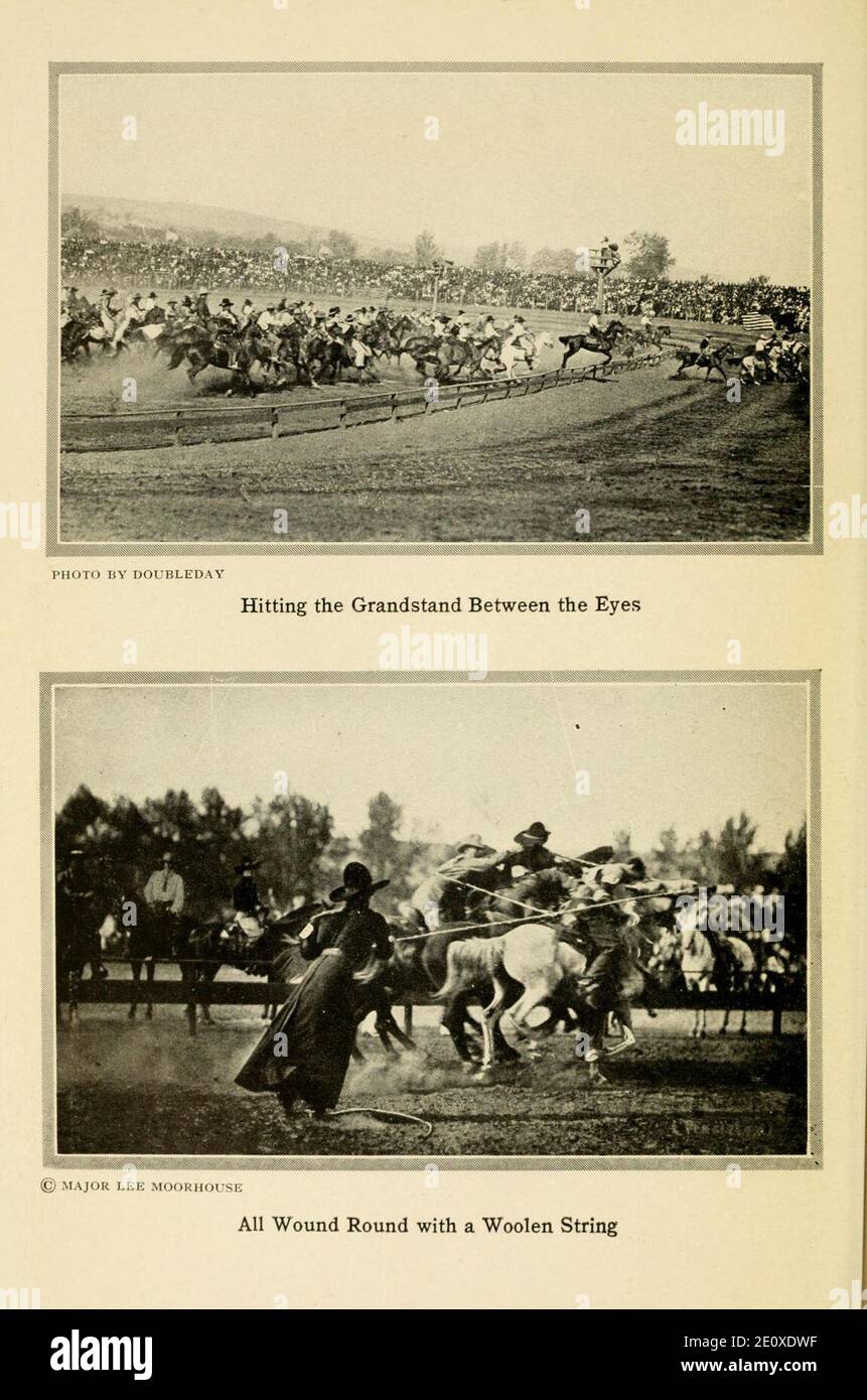 Let 'er buck Stock Photo - Alamy