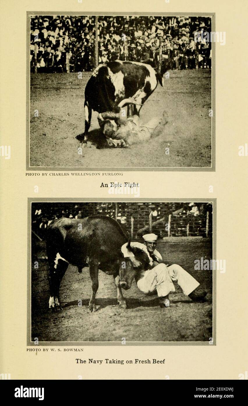 Let 'er buck Stock Photo - Alamy